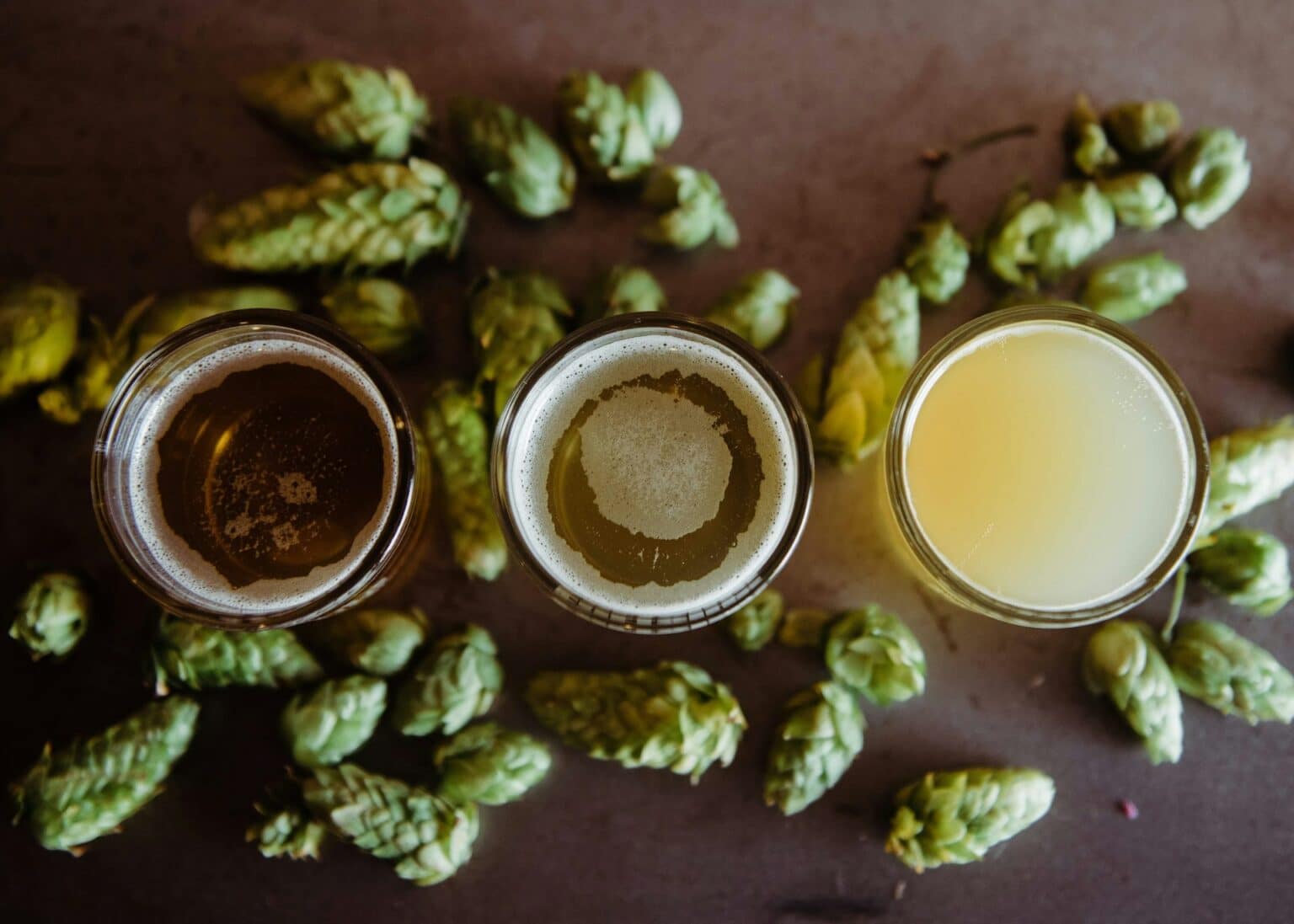 El lúpulo: el alma aromática de la cerveza artesanal - La Fabrica